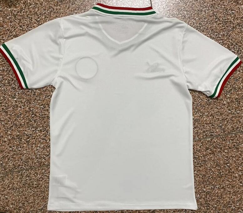 Camisa Palmeiras 2022/23 Commemorative Shirt Soccer Jersey ...