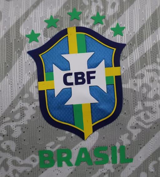 Brazil 2023/24 Goalkeeper Grey Match Version Shirt Soccer Jersey ...