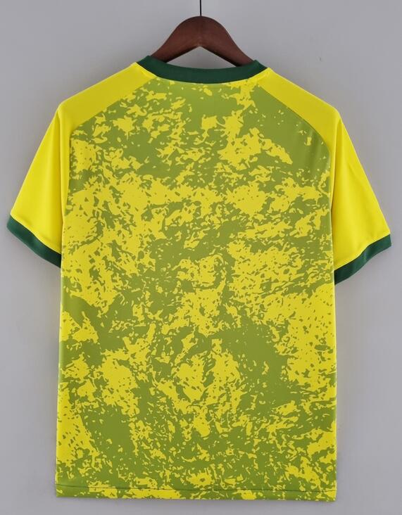 Brazil 2022 Special Green Yellow Shirt Soccer Jersey | Dosoccerjersey Shop