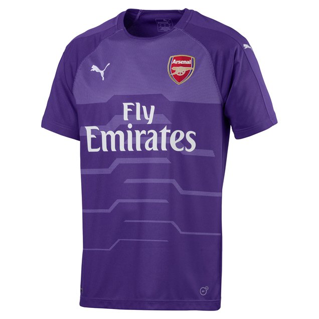 Arsenal 2018/19 Purple Goalkeeper Shirt Soccer Jersey | Dosoccerjersey Shop