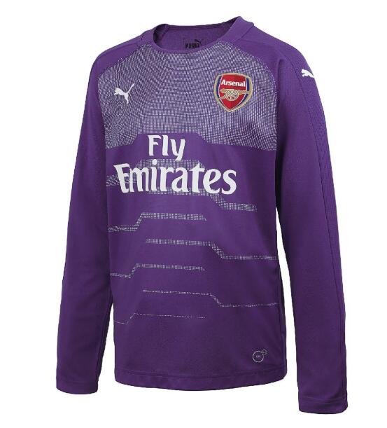 Arsenal 2018/19 Purple Goalkeeper Long Sleeve Shirt Soccer Jersey ...