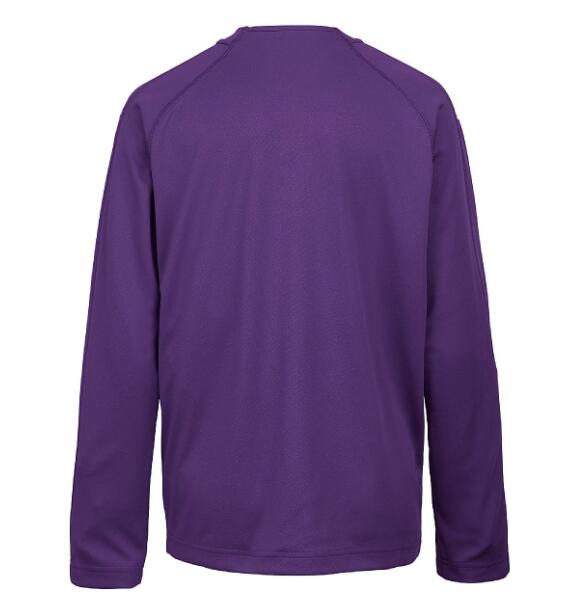 Arsenal 2018/19 Purple Goalkeeper Long Sleeve Shirt Soccer Jersey ...