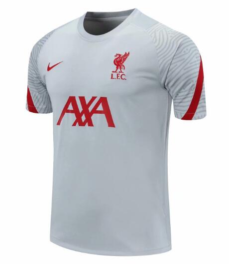 Liverpool 2020/21 Grey Training Shirt | Dosoccerjersey Shop