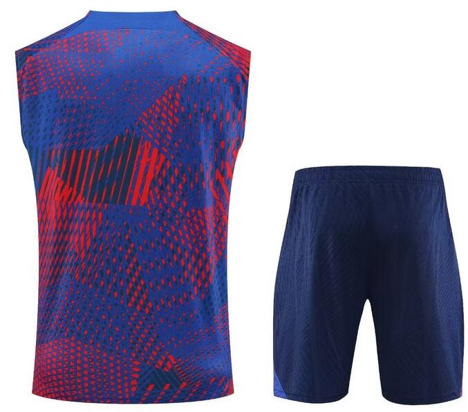 PSG 2023/24 Blue Red Vest Training Uniforms | Dosoccerjersey Shop